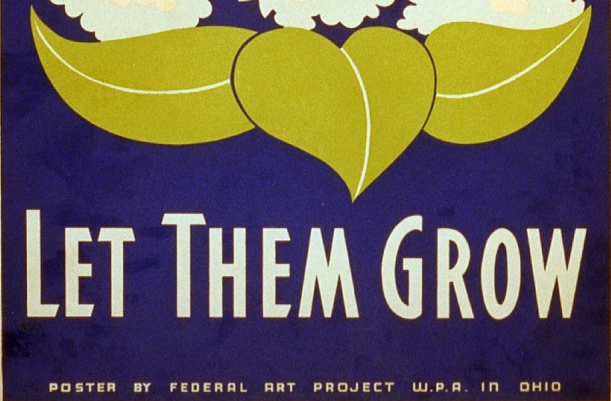 A Climate Conservation Corps : Democracy Journal